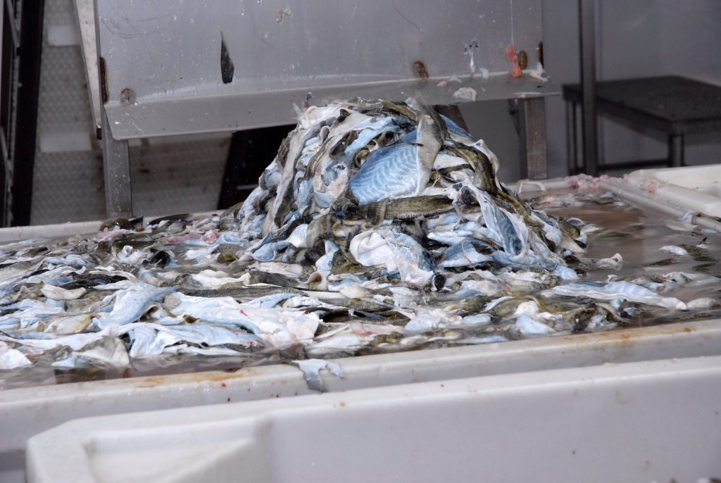 Need for better use of potential - Eurofish