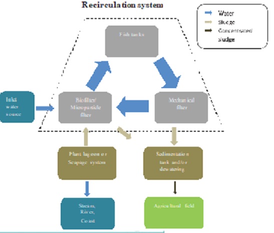 Guide to Recirculation Aquaculture: Chapter 6 - Eurofish