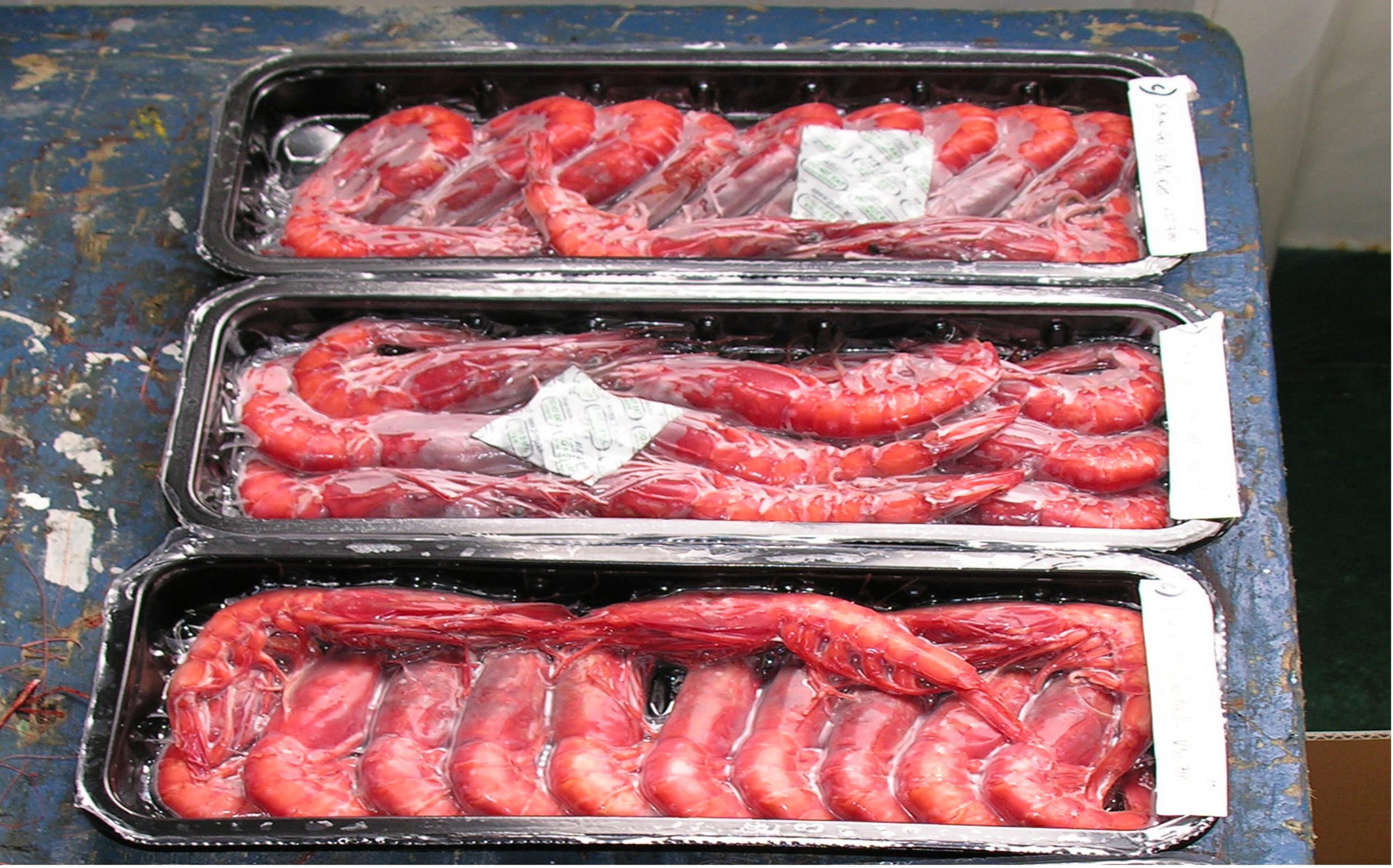 Towards crustaceans without chemicals - Eurofish