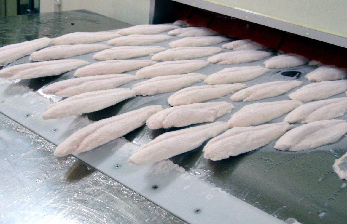 Which freezing method is best? - Eurofish