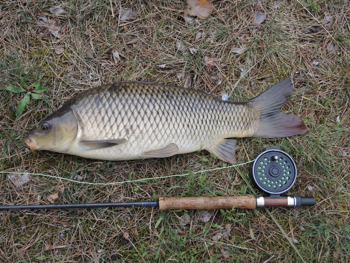 A paradise for anglers - Eurofish