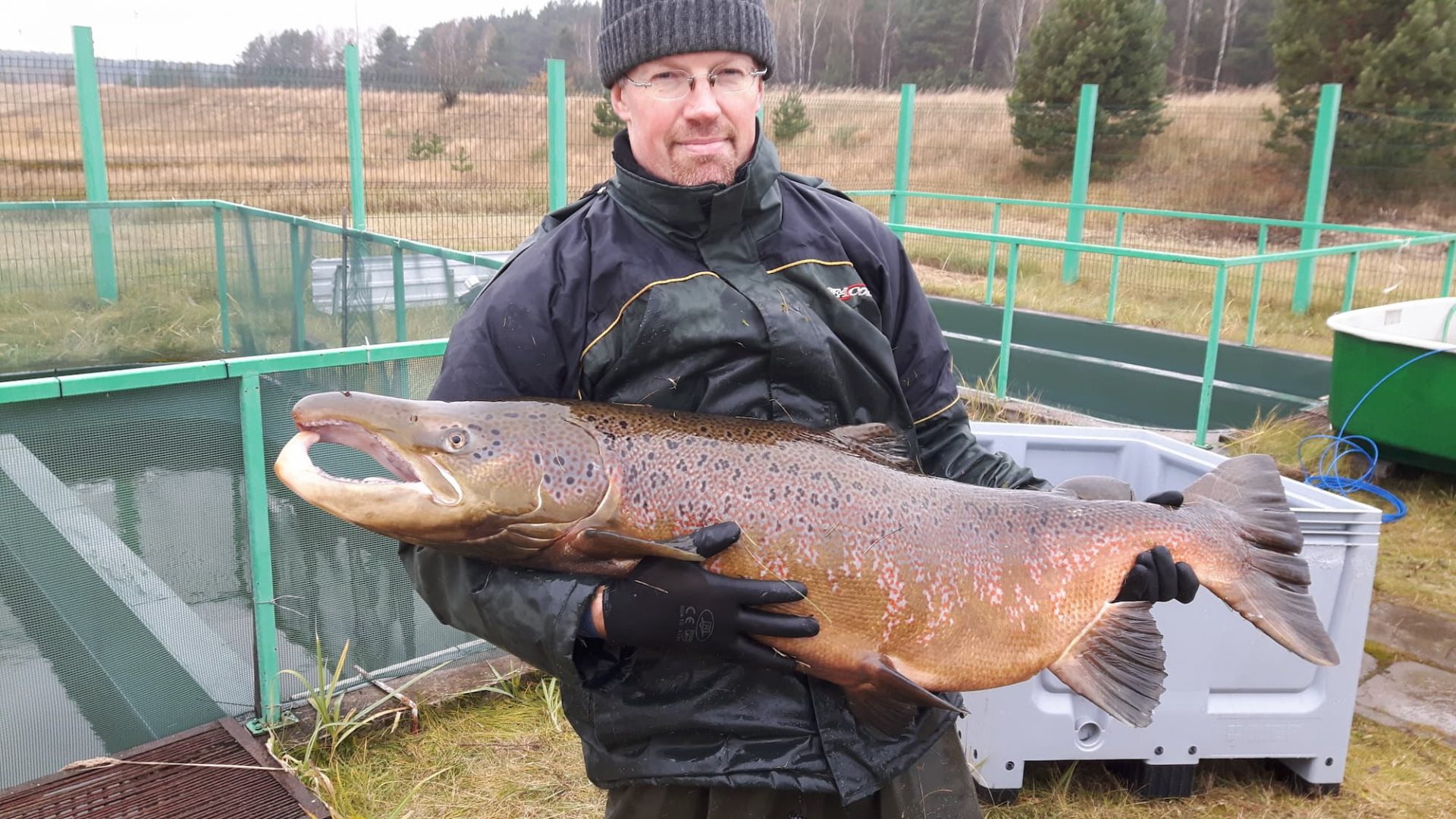 Breeding salmon and sea trout for restocking - Eurofish