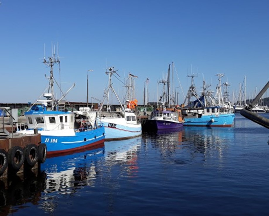 Denmark - Eurofish